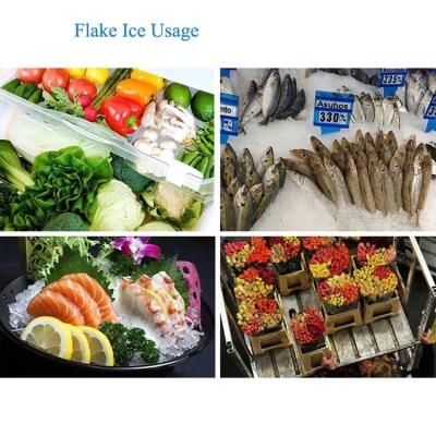 Cina Focusun 5T Flake Ice Machine La soluzione perfetta per la produzione di ghiaccio da 1250 kg in vendita