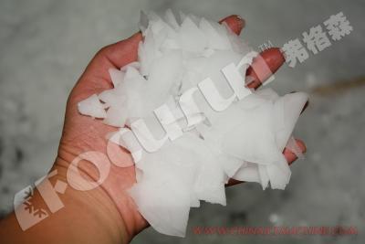 Cina Fornitura diretta di macchine per ghiaccio in fiocco 3T con controllo PLC e grande capacità di stoccaggio del ghiaccio in vendita