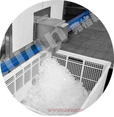 Cina Macchina per la fabbricazione di cubetti di ghiaccio industriali da 20 T per bevande con condensatore di raffreddamento ad acqua in vendita