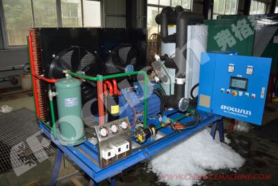 Cina 2200 kg di peso operativo Flake Ice Machine Perfetto per la produzione di pesce su larga scala in vendita