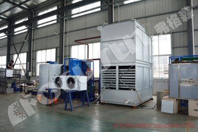 Cina Sistema di controllo automatico Compattatore di ghiaccio a fiocco per barrette di ghiaccio da 25 T nel mercato della pesca in Africa in vendita