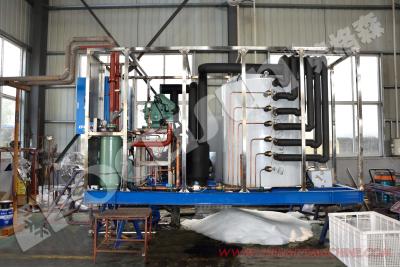 Cina Sistema di controllo automatico Compattatore di ghiaccio a fiocco per barrette di ghiaccio da 25 T nel mercato della pesca in Africa in vendita
