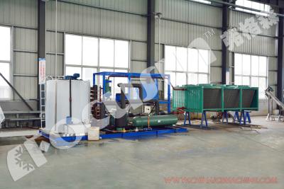 Cina Macchina per ghiaccio a fiocco da 20 tonnellate per l'Africa Pesca Compattatore a motore e enormi barre di ghiaccio in vendita