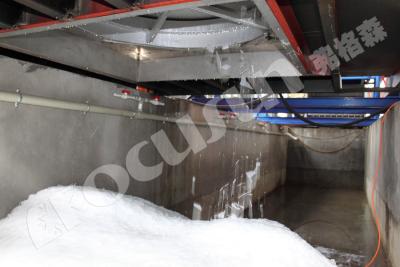 Cina 2024 Popolare FOCUSUN 10T Flake Ice Maker Acciaio inossidabile con componenti motore in vendita