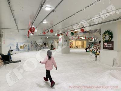 Cina Parco giochi per bambini Macchina per ghiaccio e neve con piccola capacità e video di ispezione in vendita