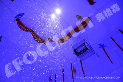 中国 2024 フォクサン フレイクアイスマシン 人工スキー精度とステンレス鋼 販売のため