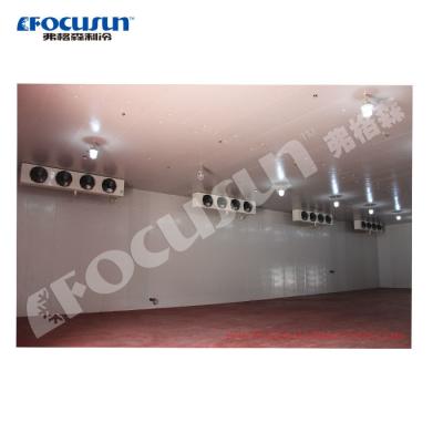 Cina FOCUSUN Camera frigorifera con sistema di congelatore a freddo La soluzione definitiva per il congelamento a freddo in vendita