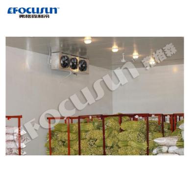 Cina FOCUSUN Camera frigorifera con sistema di congelatore a freddo La soluzione definitiva per il congelamento a freddo in vendita