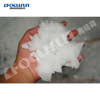Cina 2022 Focusun 30 Ton Sea Midium Air Flake Ice Making Machine con acciaio inossidabile 304 in vendita