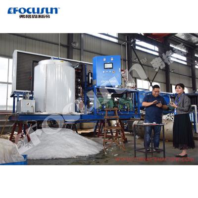 Cina Tipo commerciale Macchine per ghiaccio a fiocco di acqua dolce in acciaio inossidabile in vendita