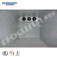 China 8 Hours Cooling in 40 ft Containerized Solar Powered Cold Room with Bitzer Compressor for sale