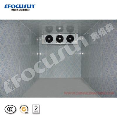 China 8 uur koeling in een 40 ft containerized zonne-aangedreven koelkamer met Bitzer compressor Te koop
