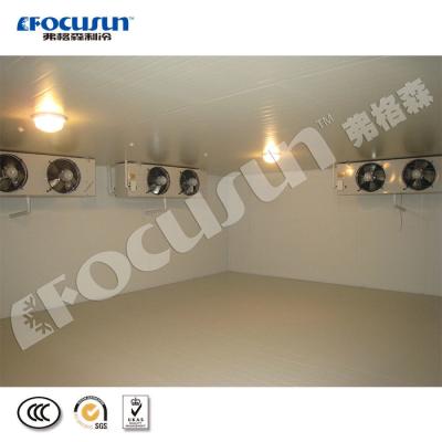 Cina Sistema di raffreddamento del compressore Camera fredda congelata per la conservazione dei prodotti congelati in vendita