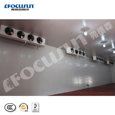 Cina Sistema di raffreddamento del compressore Camera fredda congelata per la conservazione dei prodotti congelati in vendita