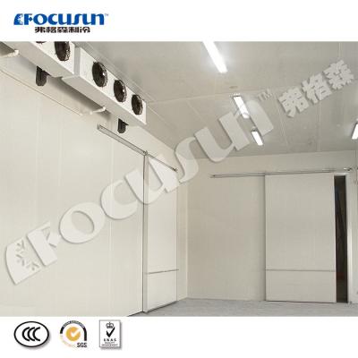 Cina Sistema di raffreddamento del compressore Camera fredda congelata per la conservazione dei prodotti congelati in vendita