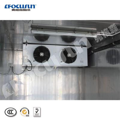 Cina Compressore Bitzer Camera fredda in contenitori per la conservazione di carne, frutti di mare, verdure o ghiaccio in vendita