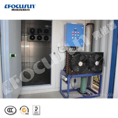 Cina Compressore Bitzer Camera fredda in contenitori per la conservazione di carne, frutti di mare, verdure o ghiaccio in vendita