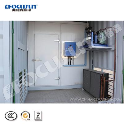 Cina Compressore Bitzer Camera fredda in contenitori per la conservazione di carne, frutti di mare, verdure o ghiaccio in vendita