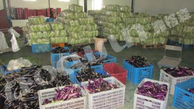 Cina Caldaia acqua industriale controllata PLC per la conservazione e il raffreddamento a lungo termine dei vegetali in vendita