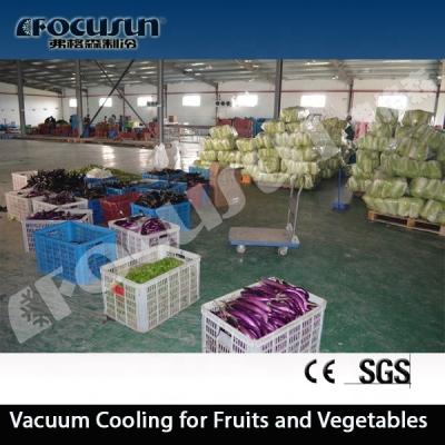 Cina Caldaia acqua industriale controllata PLC per la conservazione e il raffreddamento a lungo termine dei vegetali in vendita
