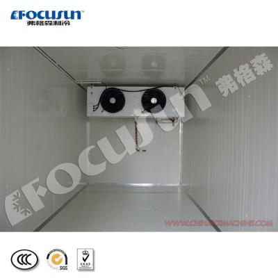 Cina 20GP/40HQ Containerized Mobile Solar Powered Cold Room con spessore del pannello da 100 mm a 200 mm in vendita