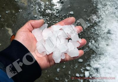 Cina Controllo video delle macchine per rasparo a ghiaccio con tensione 380V/220V in vendita