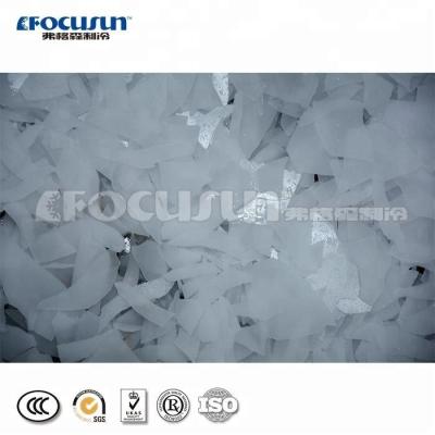 Cina 2200 KG Flake Ice Machine per la produzione di carne Ammonio Flake Ice Plant Bevande alimentari in vendita