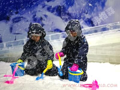 Cina 1500 kg macchina automatica per la caduta di neve per paesaggi con controllo video in uscita in vendita