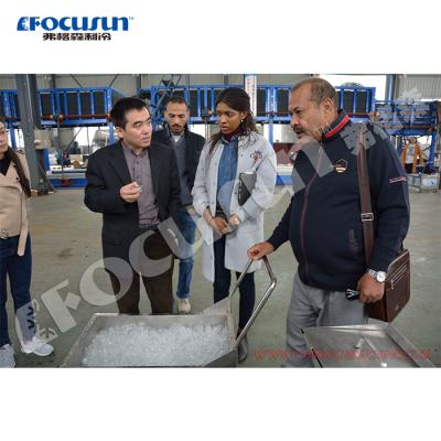 Cina Macchine automatiche per la produzione di ghiaccio cilindrica da 10 tonnellate con capacità di stoccaggio di ghiaccio di 10000 kg in vendita