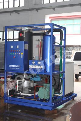 Cina Macchina per ghiaccio a tubi industriali con il nostro acciaio inossidabile 304 5ton in vendita
