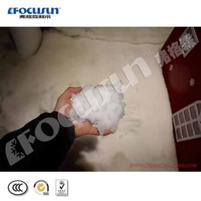 Cina Capacità di immagazzinamento di ghiaccio di 1000 kg Disegno della macchina per la fabbricazione della neve artificiale in vendita