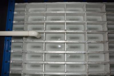 Cina 11860 KG Macchina per blocchi di ghiaccio a raffreddamento diretto per negozi di alimenti e bevande all'interno di Focusun in vendita