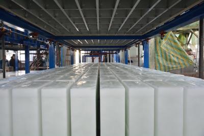 Cina 11860 KG Macchina per blocchi di ghiaccio a raffreddamento diretto per negozi di alimenti e bevande all'interno di Focusun in vendita