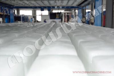 Cina 2896 kg Peso di esercizio 20 t Macchina per blocchi di ghiaccio industriale per distributori di prodotti ittici in vendita