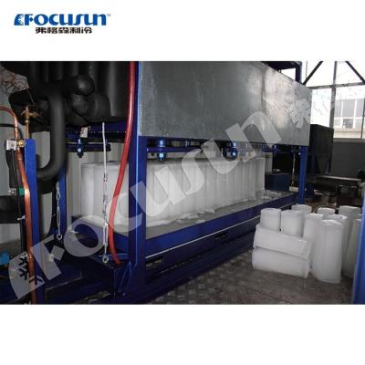 Cina Focusun 1T Containerized Block Ice Machine con capacità di stoccaggio di 1000 kg di ghiaccio in vendita