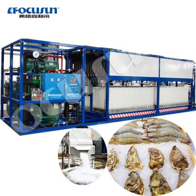 China Aanpasbare 30 ton rechtstreekse verdamping systeem blok ijsmachines voor industriële Te koop