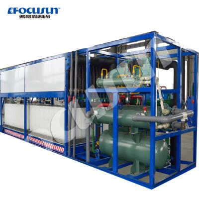 China Aanpasbare 30 ton rechtstreekse verdamping systeem blok ijsmachines voor industriële Te koop