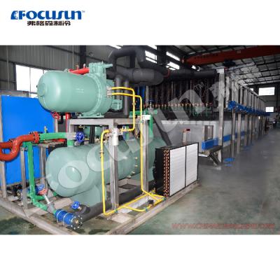 Cina ICE BLOCK 20 tonnellate al giorno Sistema di raffreddamento diretto industriale Macchine per la produzione di ghiaccio a blocchi in vendita