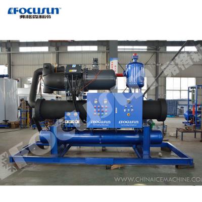 Cina Macchina per ghiaccio ad alta produttività Focusun da 30 tonnellate in vendita