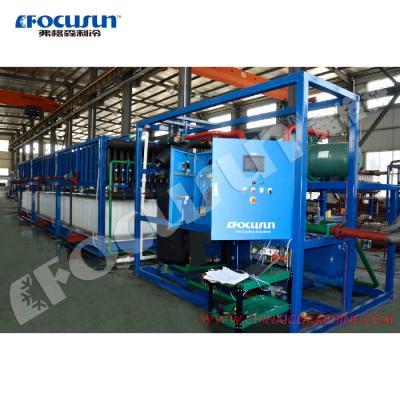 Cina 30 tonnellate di capacità giornaliera Macchina per blocchi di ghiaccio Compressore Bitzer e funzionamento automatico in vendita