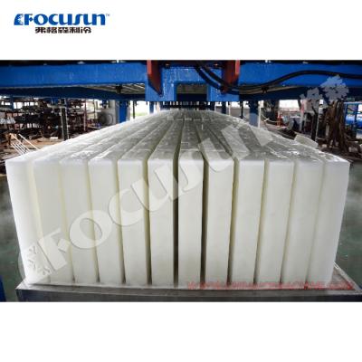 Cina 30 tonnellate di capacità giornaliera Macchina per blocchi di ghiaccio Compressore Bitzer e funzionamento automatico in vendita