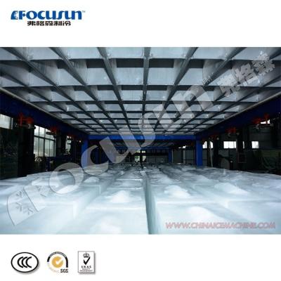 Cina Compressore Bitzer per le esigenze delle macchine industriali a blocco di ghiaccio in vendita