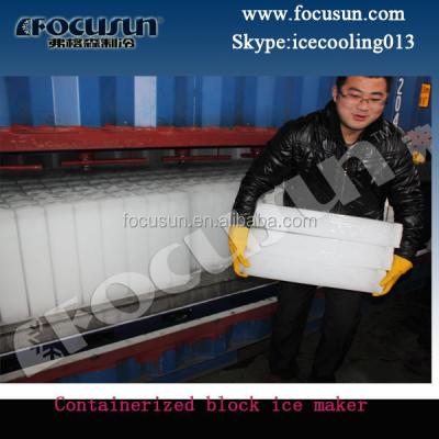 Cina 380v/220v Voltage Ice Block Machine con video di ispezione in uscita in vendita