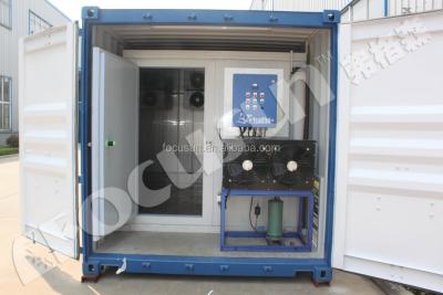 Cina 380v/220v Voltage Ice Block Machine con video di ispezione in uscita in vendita