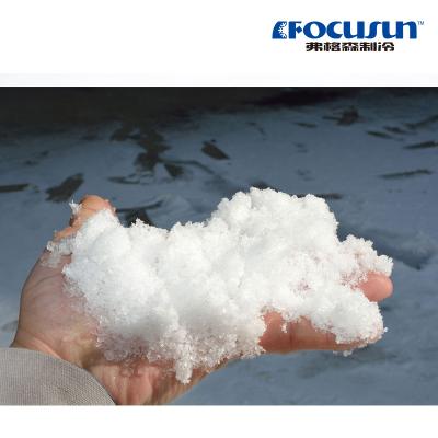 Cina R404a Macchina per la fabbricazione di neve refrigerante per il parco di neve a ghiaccio Four Seasons in ambiente esterno e interno in vendita