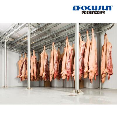 Cina FOCUSUN Congelatore per camera fredda per la conservazione del ghiaccio in vendita
