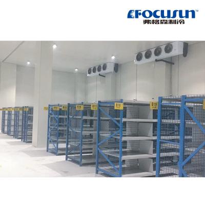 Cina FOCUSUN Congelatore per camera fredda per la conservazione del ghiaccio in vendita