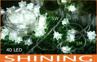 Cina Luce all'aperto bianca 5 m. 40bulbs della corda del LED con luminosità regolabile in vendita