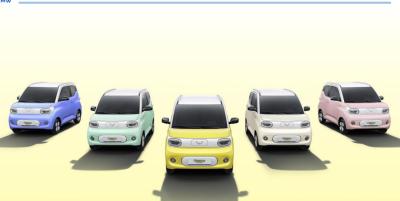 China Wuling Hongguang MINI EV GEN3 E50 MCE PRO Electric City Car for sale