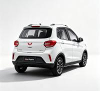 China Wuling Xingchi 310S Compact SUV for sale